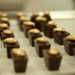 Private: Cacao Plantation Tour with Lunch & Tasting - The Itinerary at a Glance