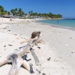 Private Catalina Island Snorkel & Beach Day from Punta Cana - Why This Tour Offers Good Value
