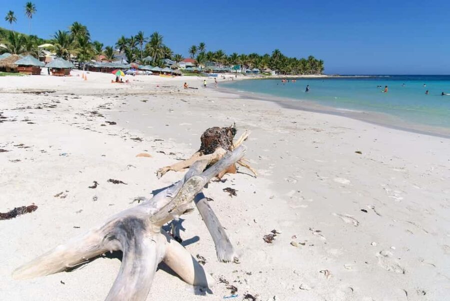 Private Catalina Island Snorkel & Beach Day from Punta Cana - Why This Tour Offers Good Value