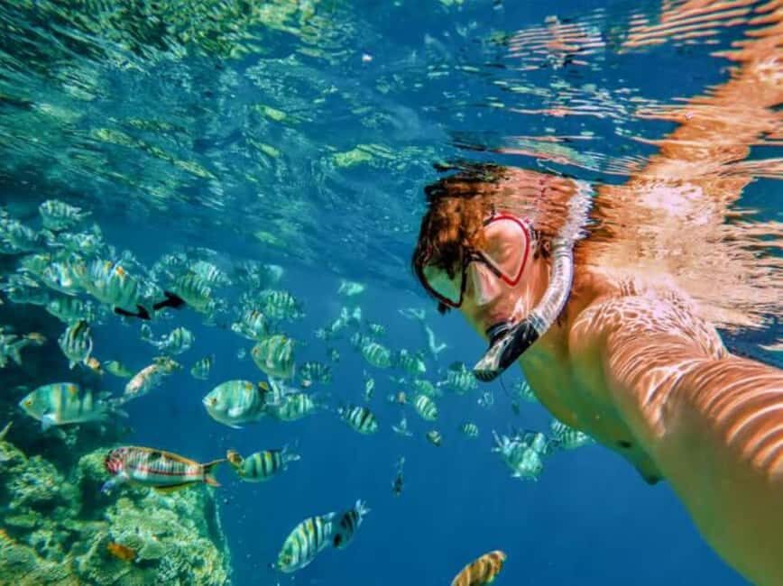 Private: Catalina Island Snorkel Dive Day Trip from Bayahibe - Exploring Catalina Island