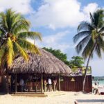 Private Catamaran Cruise Tour in Negril Beach and Rick's Cafe - What We Like About This Tour