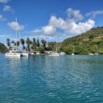 Private: Catamaran Day Trip to Cayo Levantado - Who Will Love This Tour?