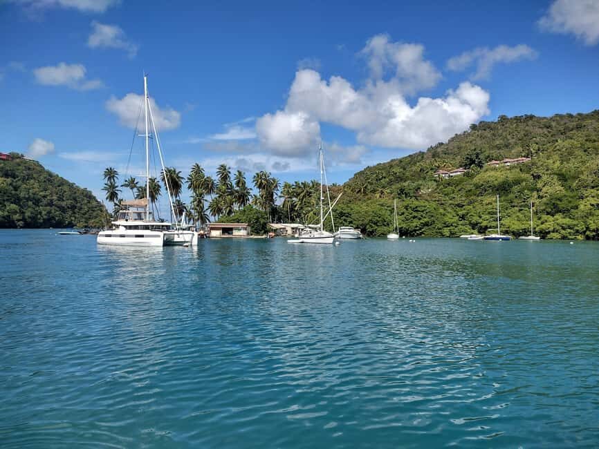 Private: Catamaran Day Trip to Cayo Levantado - Who Will Love This Tour?