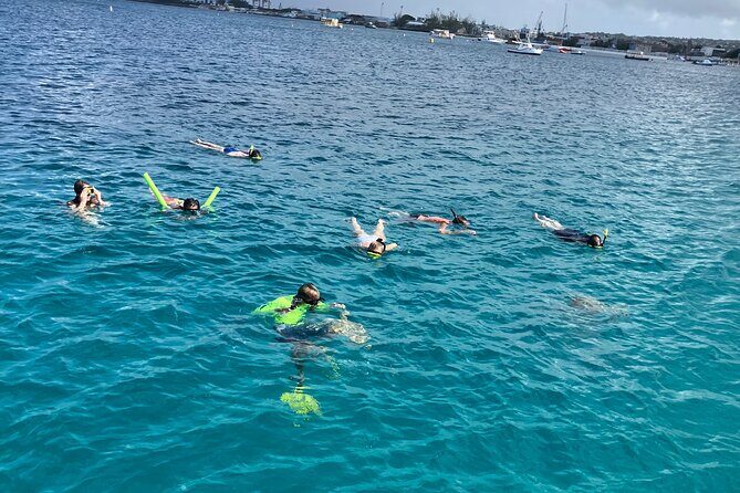 Private catamaran sail & snorkel - The Value of a Private, Customizable Tour