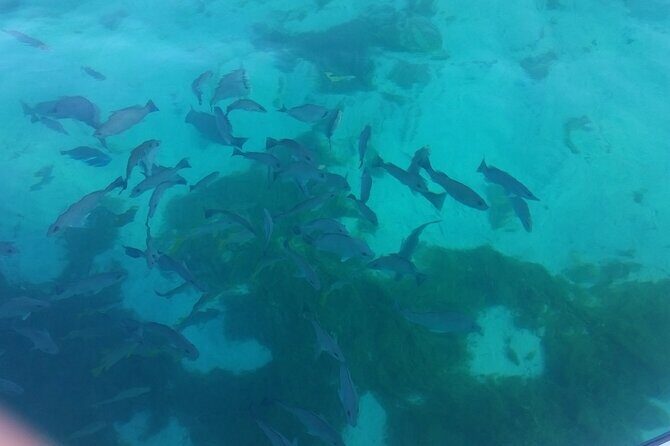 Private Center Console Boat for Sailing Bahamas Clear Waters - Exploring the Itinerary