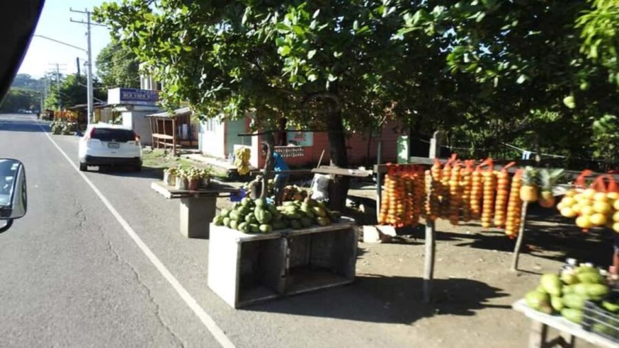 Private: City Tour with Lunch, Rum, and Chocolate - Why This Tour Offers Great Value