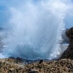 Private Customized Day Tour in Curaçao - The Sum Up