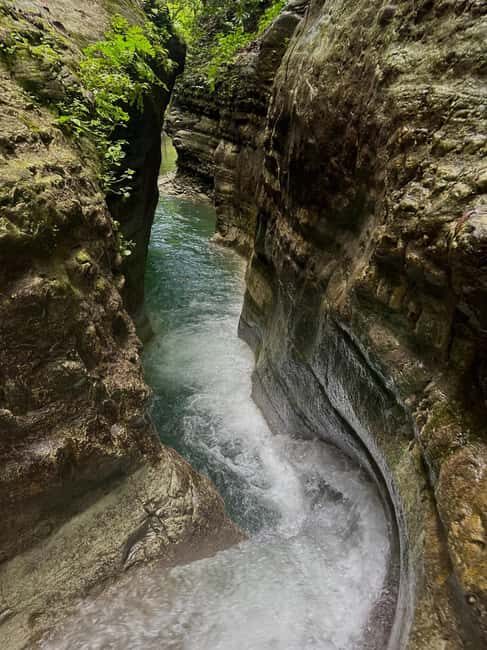 Private: Damajagua Waterfalls Adventure with Jungle Trek - What Makes This Tour Stand Out