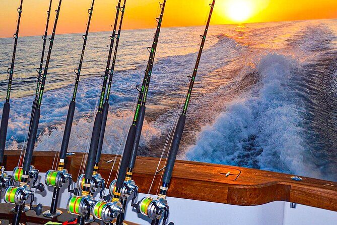 Private Deep Sea Fishing in Montego Bay - Analyzing the Value