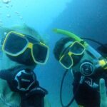 Private Diving & Southside tour - Detailed Breakdown of the Itinerary
