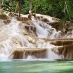Private Dunn River Falls and Park Tour from Montego Bay - The Itinerary in Detail