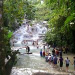 Private Dunn's River Falls Adventure from Montego Bay - Discovering the Itinerary