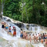 Private Dunn's River Falls Jamaica - The Ziplining Adventure: A High-Altitude Perspective