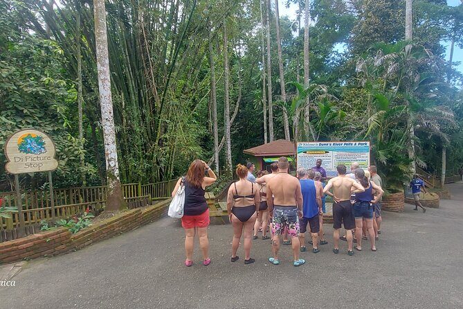 Private Dunn's River Falls Tour from Falmouth - Entering the Park: Setting the Stage for an Iconic Climb