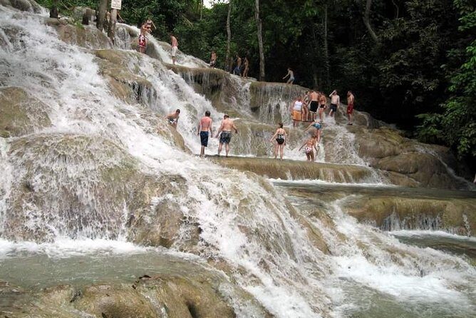 [PRIVATE] Dunn's River Falls with Entrance Fees - Who Will Love This Tour?