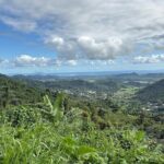 Private El Yunque Adventure  Hidden Waterfalls & El Toro Trail! - An Authentic Journey into Puerto Rico’s Rainforest