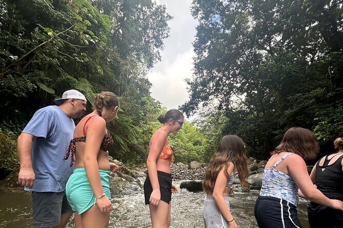 Private El Yunque Tour to Waterslide and Waterfalls - Who Will Love This Tour?