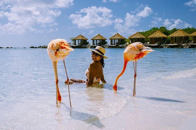 Private Essential Tour of Aruba - Who Should Consider This Tour?