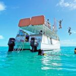 Private: Exclusive Saona Island VIP Speedboat Charter - Practical Details and Value