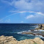 Private Exclusive Scenic Views Tour of Barbados' Landscapes - What Makes This Tour Stand Out?