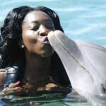 Private Excursion to Mystic Mountain and Dolphin Cove - Practical Considerations and Value