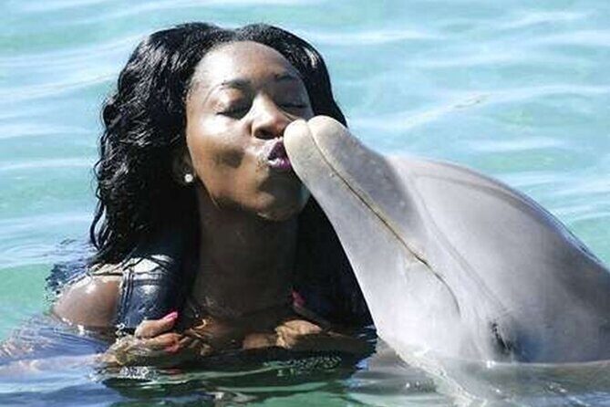 Private Excursion to Mystic Mountain and Dolphin Cove - Practical Considerations and Value