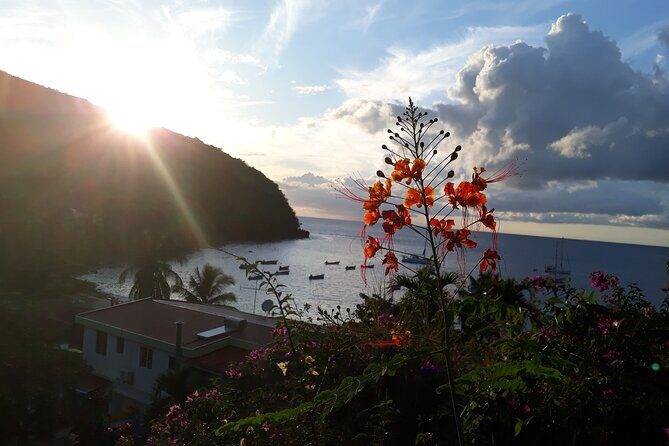 Private excursions à la carte in Martinique - What You Can Expect from Your Custom Tour