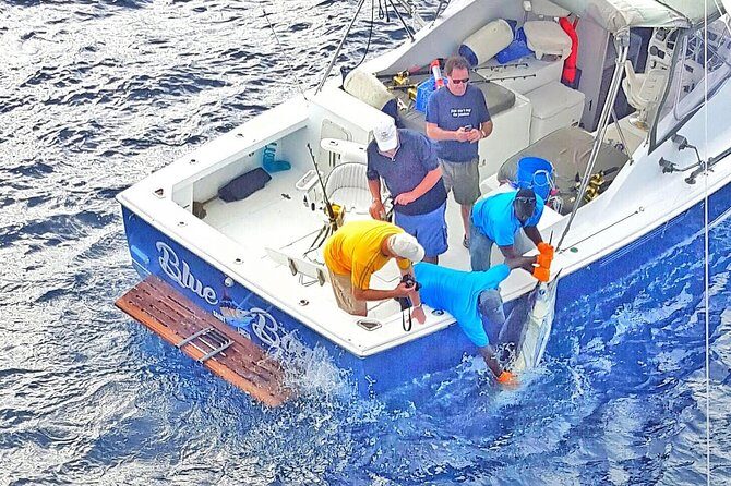 Private Fishing in St Lucia Charters - The Real Experience: What Do the Reviews Say?