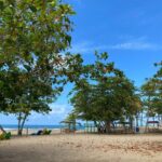 Private Full Day Aguadilla Sightseeing Tour - Authentic Testimonials and Highlights