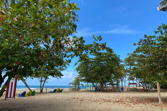 Private Full Day Aguadilla Sightseeing Tour - Authentic Testimonials and Highlights