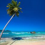 Private Full Day Beach Tour in Puerto Plata - FAQ
