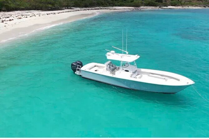 Private Full Day Boat Charter around St Thomas and St John - What Travelers Are Saying