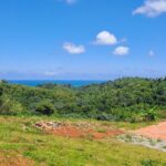 Private Full-Day Jungle to Shoreline Hiking Tour of Las Galeras - What’s Included and What’s Not