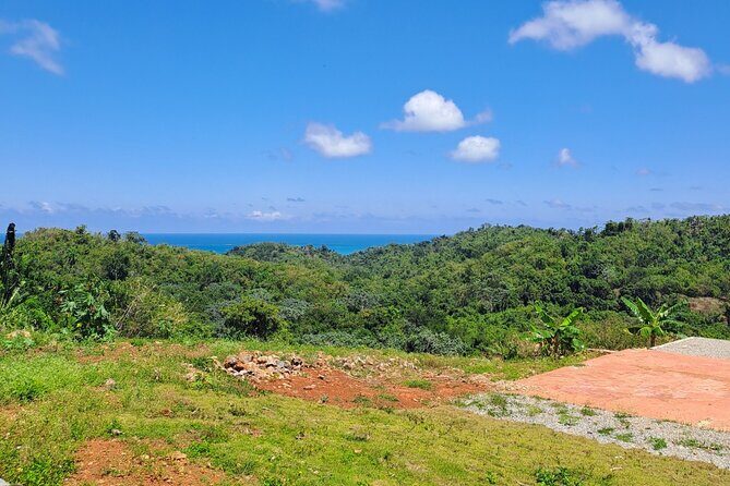 Private Full-Day Jungle to Shoreline Hiking Tour of Las Galeras - What’s Included and What’s Not