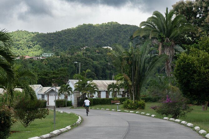 Private Full Day Tour Exploring and Tasting Roseau - Frequently Asked Questions