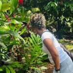 Private Grenada Island Tour Rum, Spice Garden & Grand Anse Beach - The Itinerary in Detail