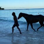 Private Group Hunte's Gardens Tour - Second Stop: Hunte’s Gardens