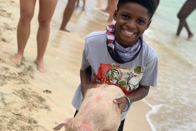 Private GroupTour Pigs/Turtles/Snorkeling/Lunch/Pickup/Dropoff - Frequently Asked Questions