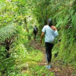 Private Guided Hiking Tour to the Blue Mountains - What Makes This Tour Stand Out