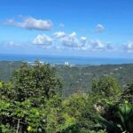 Private Guided Tour in Puerto Rico - Logistics and Practicalities