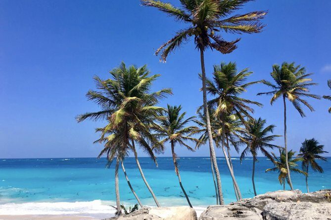 Private Half-Day Barbados Excursion - Final Thoughts