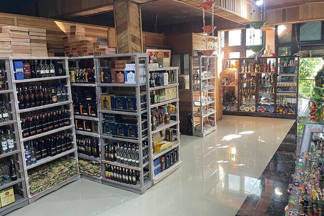 Private Half Day Tour in Dominican Republic with Local Guide - Who Should Consider This Tour?