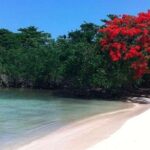 Private Half Moon Beach Tour from Montego Bay - What You Can Expect: The Practical Details