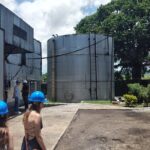 Private Hampden Estate Rum Tour from Montego Bay or Falmouth - Who Will Love This Tour?