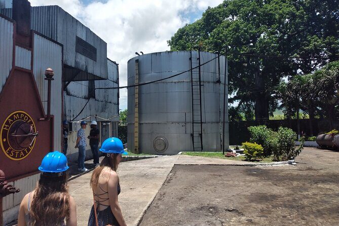 Private Hampden Estate Rum Tour from Montego Bay or Falmouth - Who Will Love This Tour?