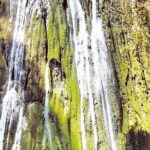 Private Hiking to Salto el Limon with a Local expert Guide from Samana - The Sum Up