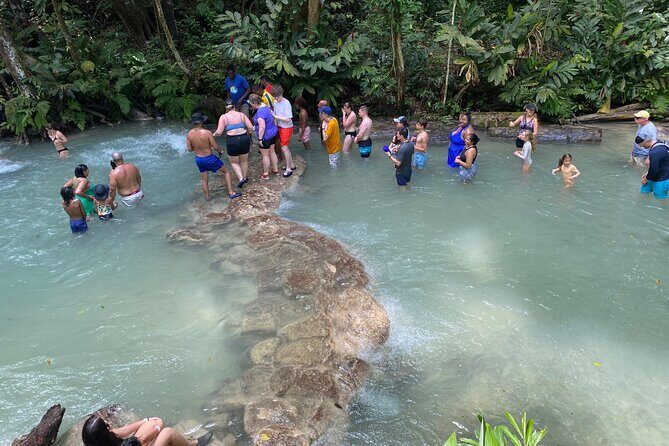 Private Horse Back Riding and Blue hole from Montegobay - Who Should Consider This Tour?