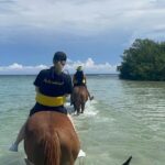 Private Horse Back Riding And Dunns' River Falls From Montego bay - Analyzing the Cost and Overall Value