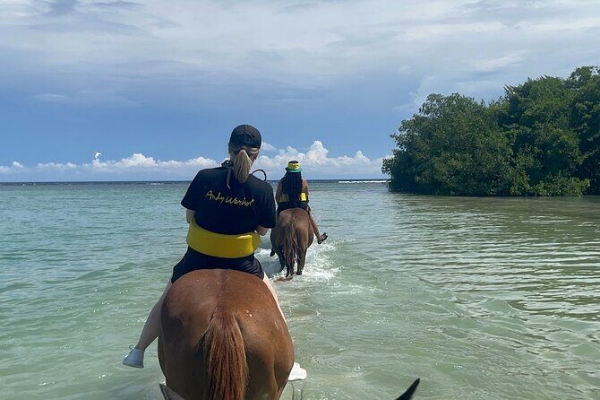 Private Horse Back Riding And Dunns' River Falls From Montego bay - Analyzing the Cost and Overall Value