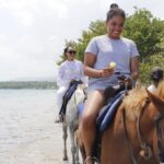 Private Horse Back Riding in Saint Ann's Bay - The Practical Side: Price, Duration, and Convenience